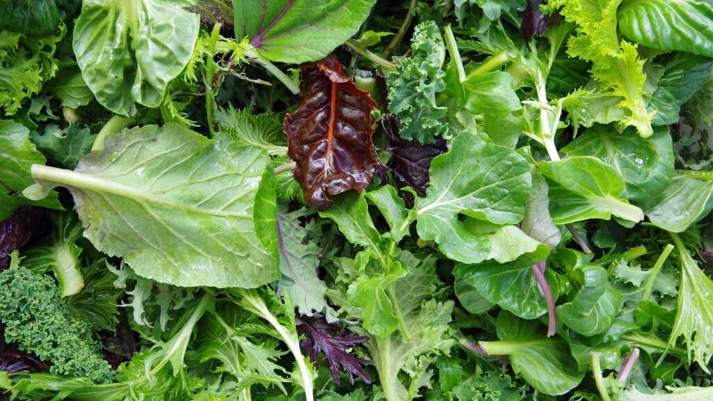 Easy To Digest 10 Foods That Are Easy To Digest