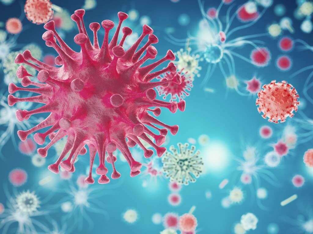 Viral Infection What Is A Viral Infection 
