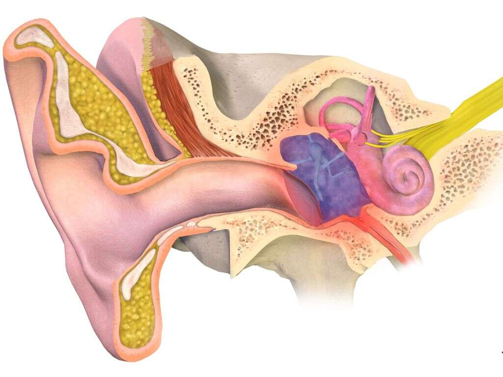 Tag Acute Otitis Media